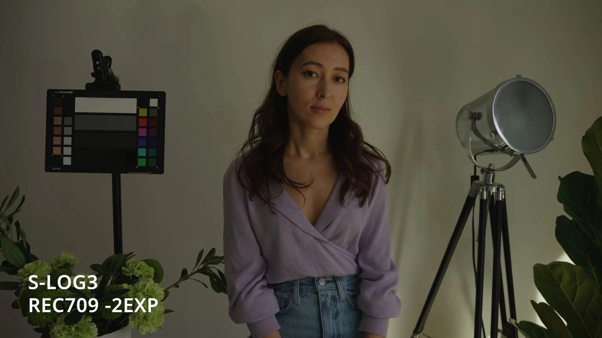 Cinema Tools Utility LUTs for Sony S-Log3 — Cinema Tools