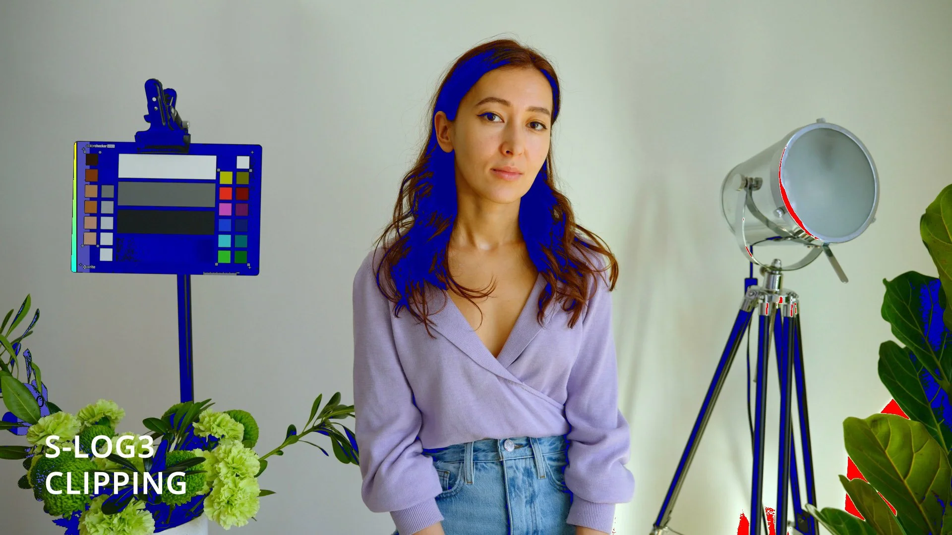 Cinema Tools Utility LUTs for Sony S-Log3 — Cinema Tools