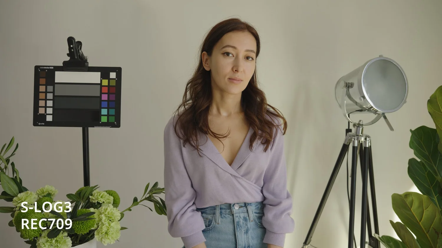 Cinema Tools Utility LUTs for Sony S-Log3 — Cinema Tools
