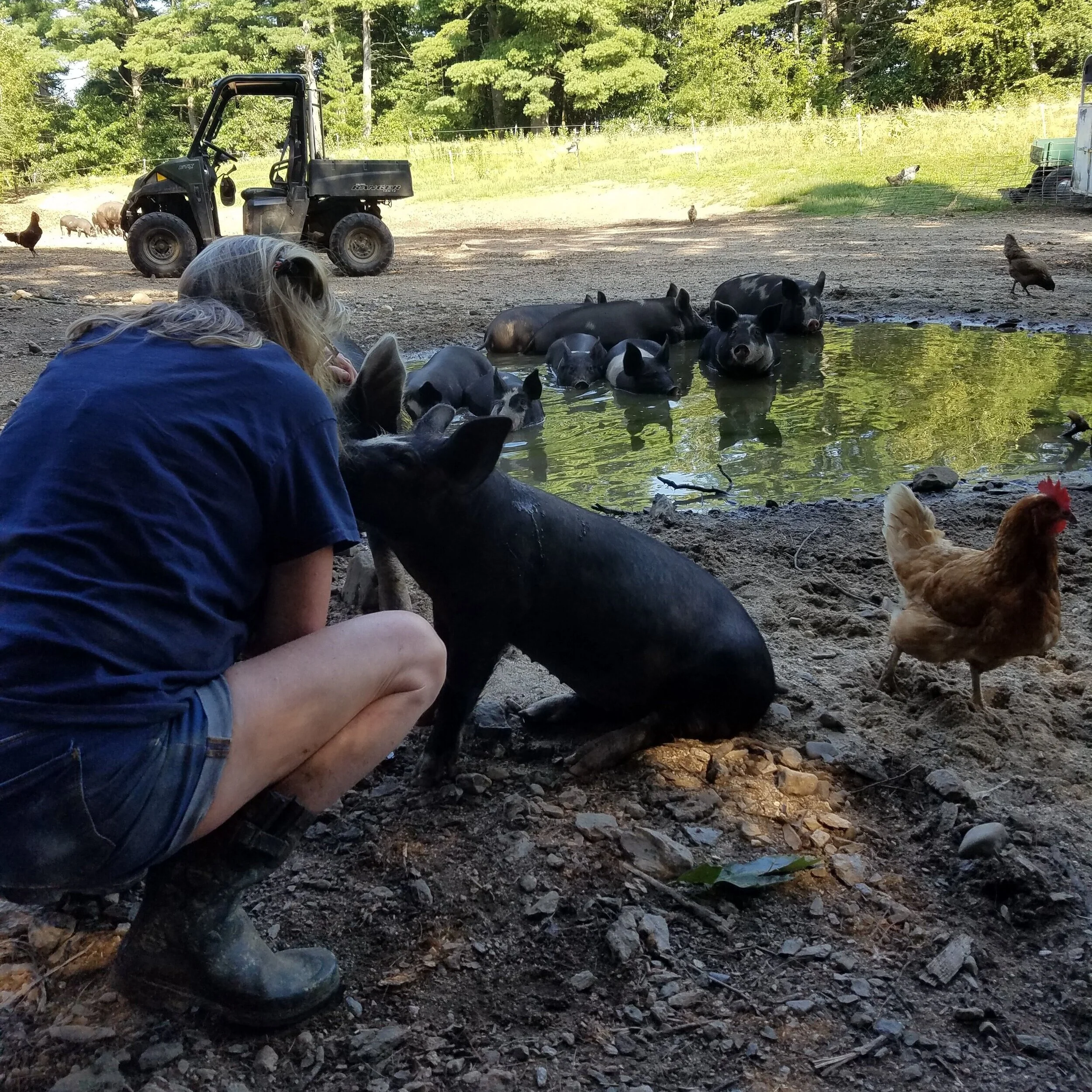 About — Clover Luck Farm