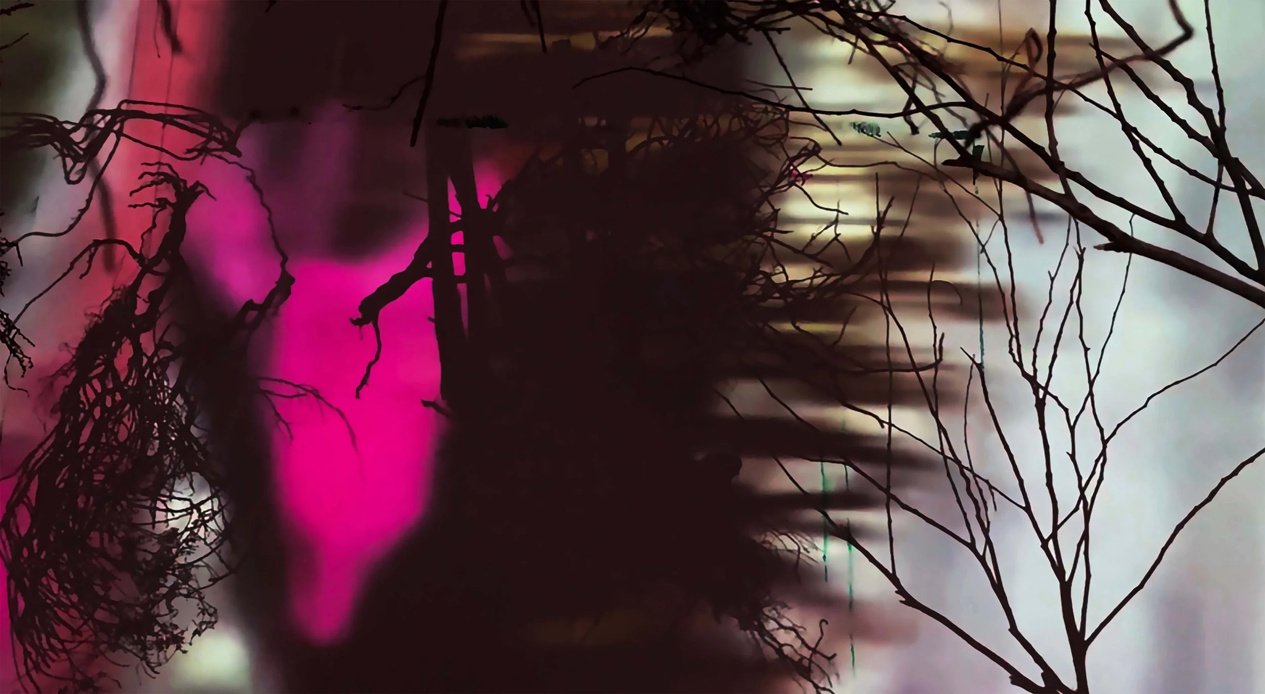 CARMEL COSGROVE — SOL GALLERY