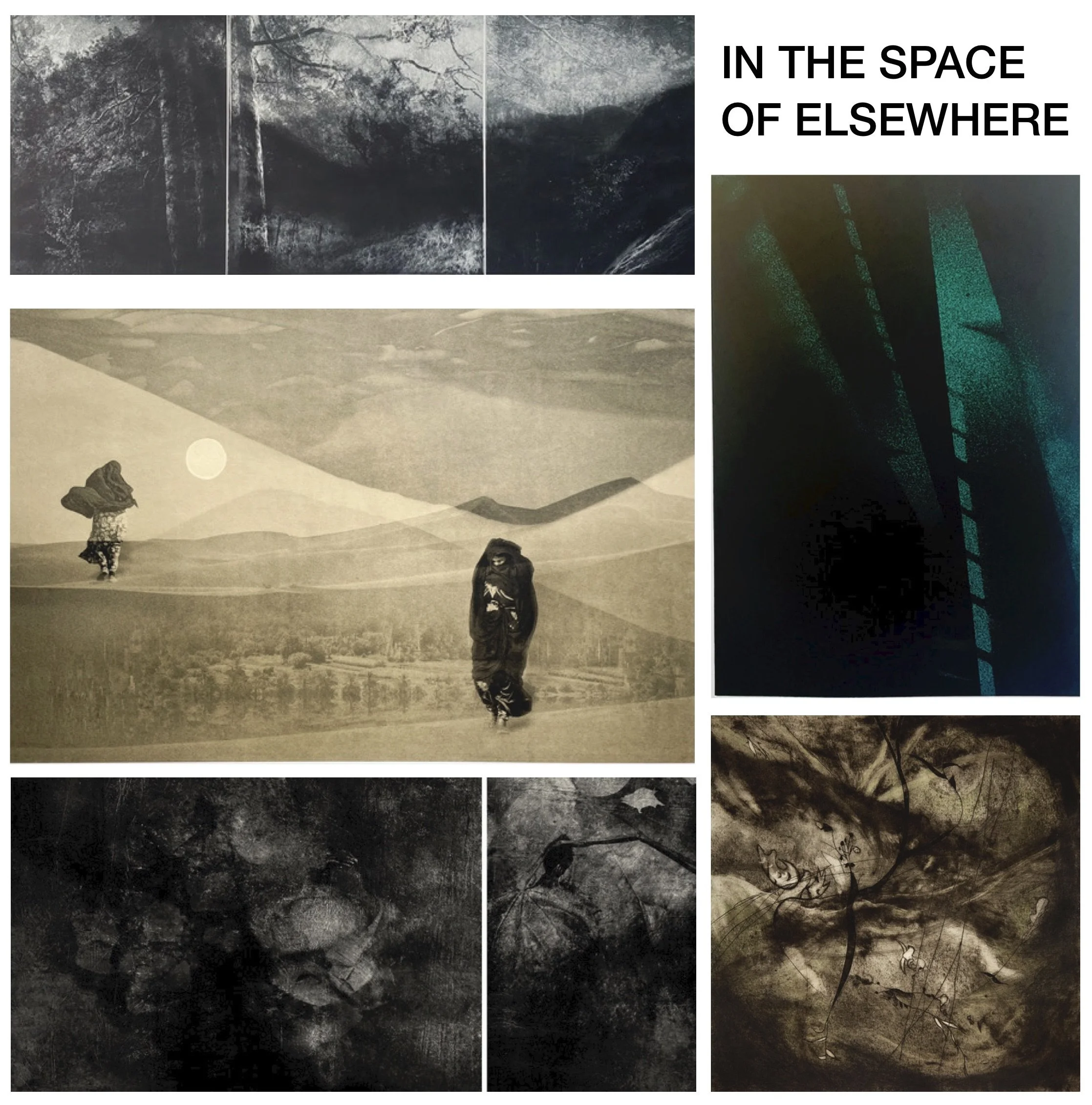 Upcoming Exhibitions — SOL GALLERY