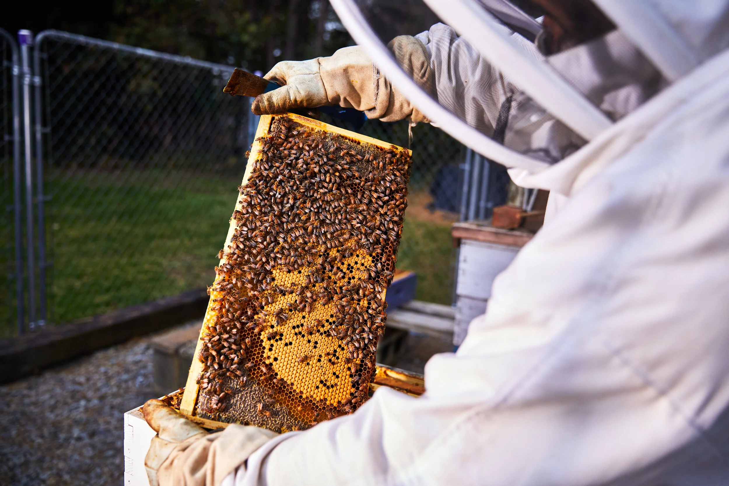 Old Man John's Apiary & Apothecary