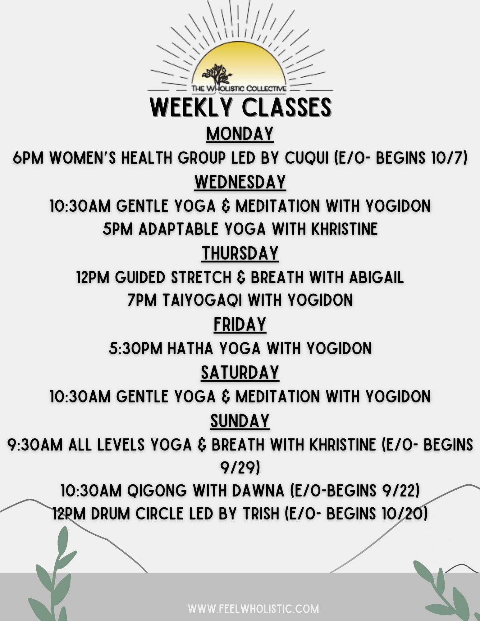 Weekly Class Schedule — The Wholistic Collective