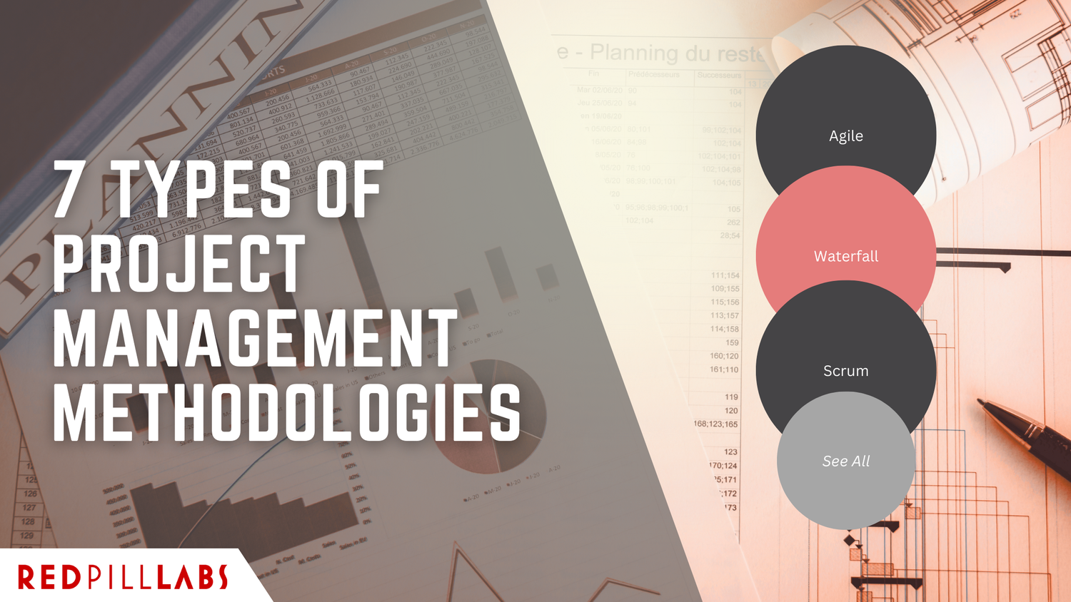 7 Types of Project Management Methodologies (and Use Cases) — Red Pill Labs | Software Selection ...
