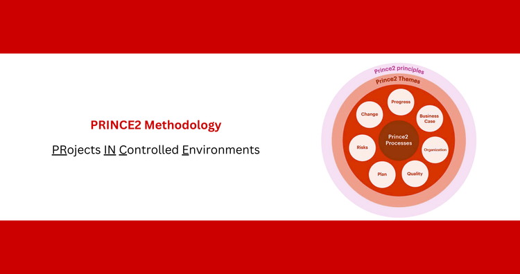 7 Types of Project Management Methodologies (and Use Cases) — Red Pill ...