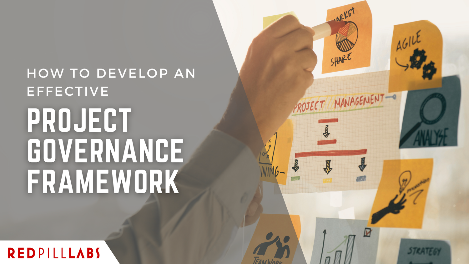 How to Develop an Effective Project Governance Framework — Red Pill ...