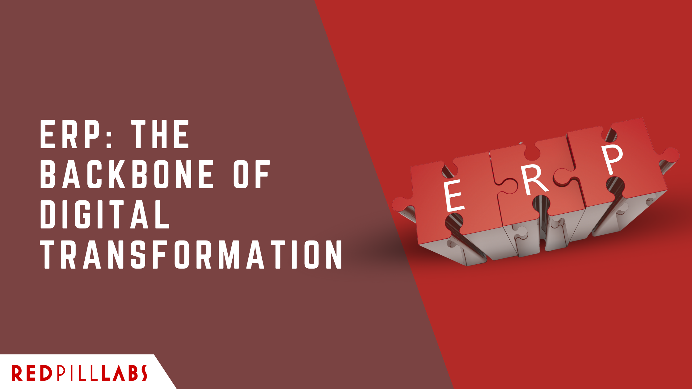 ERP: The Backbone of Digital Transformation — Red Pill Labs | Software ...