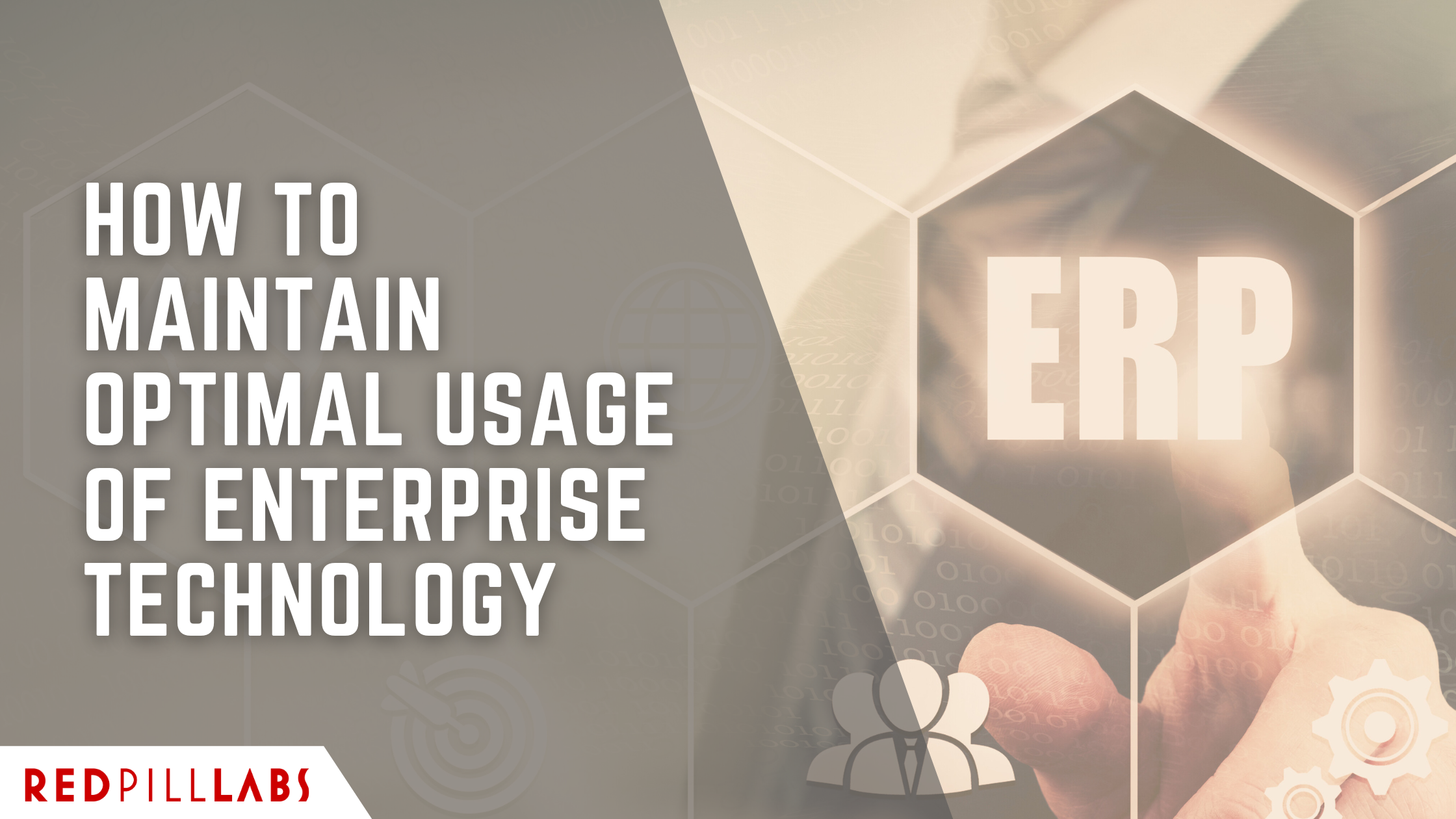 How to Maintain Optimal Usage of Enterprise Technology — Red Pill Labs ...