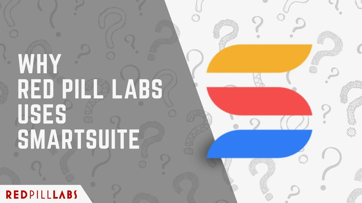 Why Red Pill Labs Uses SmartSuite — Red Pill Labs | Software Selection | Project Management | HR ...