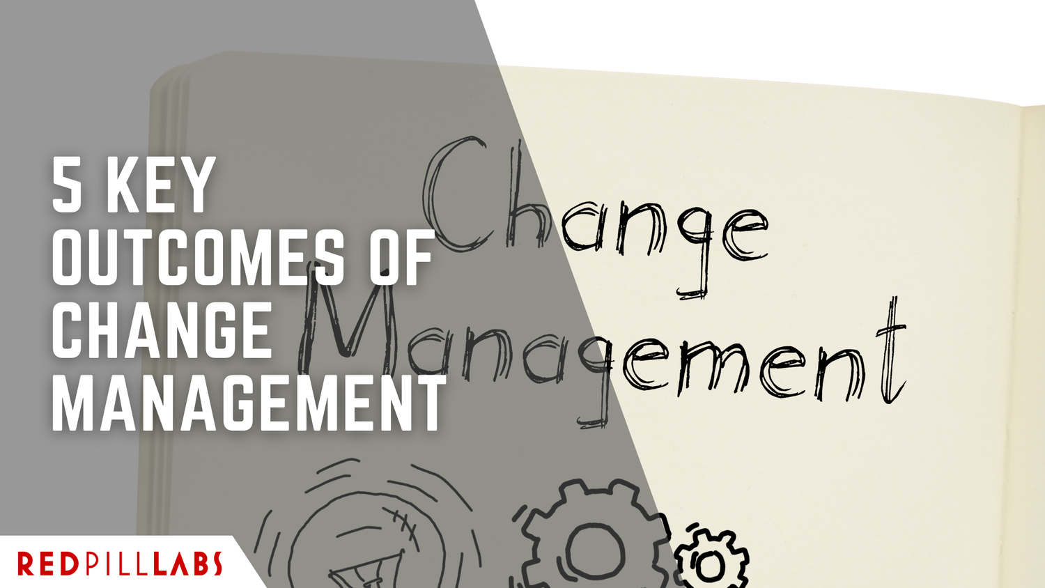 5 Key Outcomes of Change Management — Red Pill Labs | Software ...