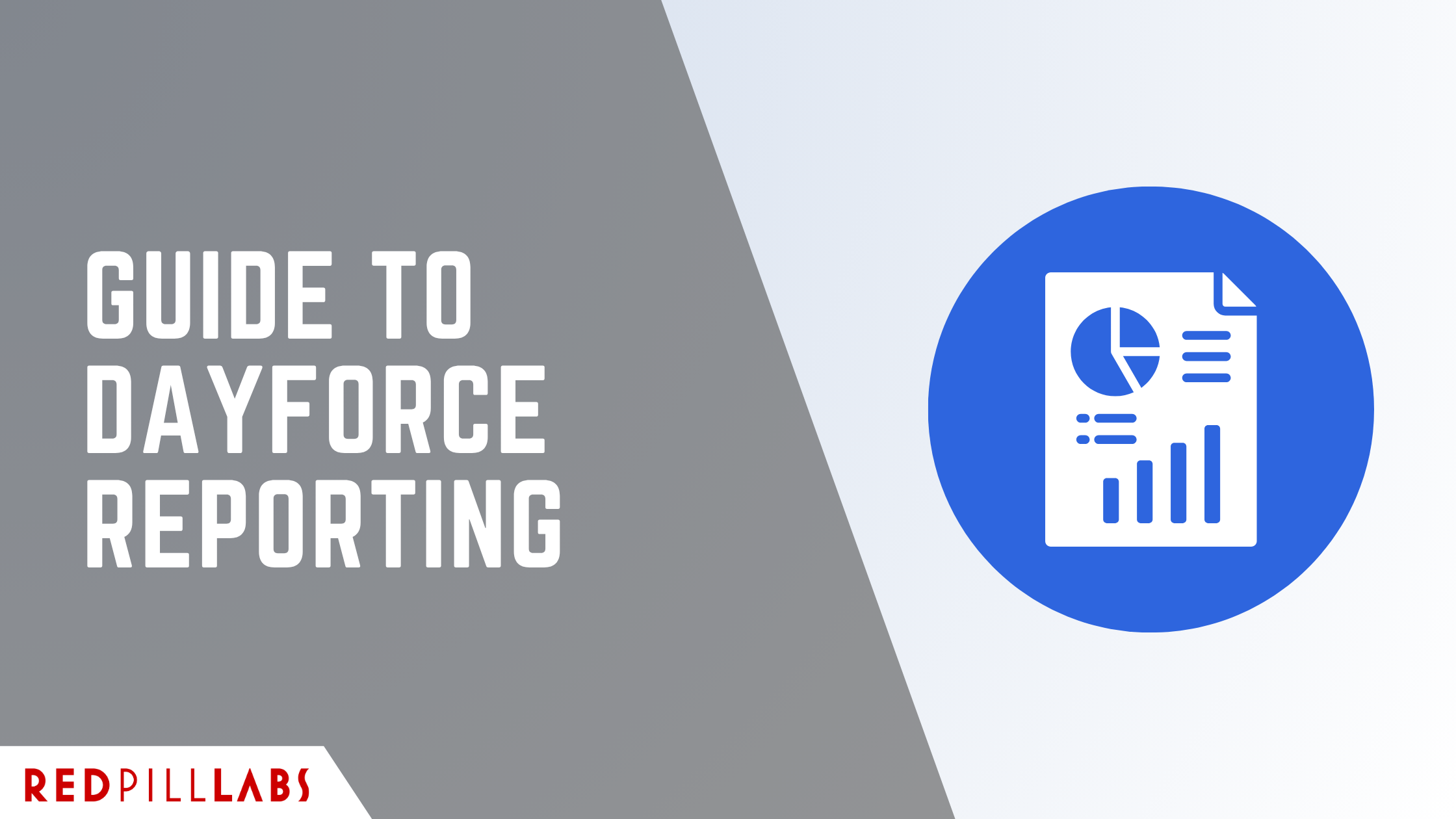 Guide to Dayforce Reporting — Red Pill Labs | Software Selection ...