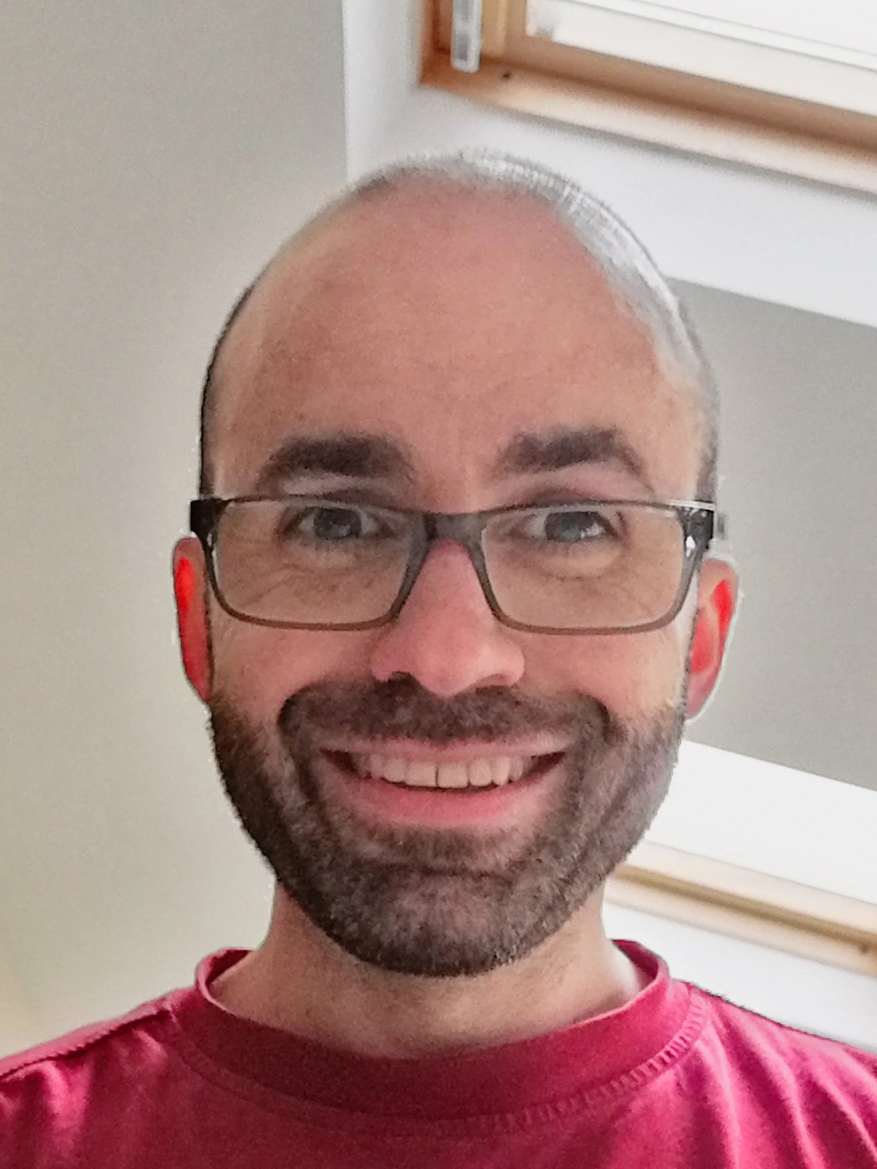 Committee and Volunteers — Backgammon Federation of Ireland