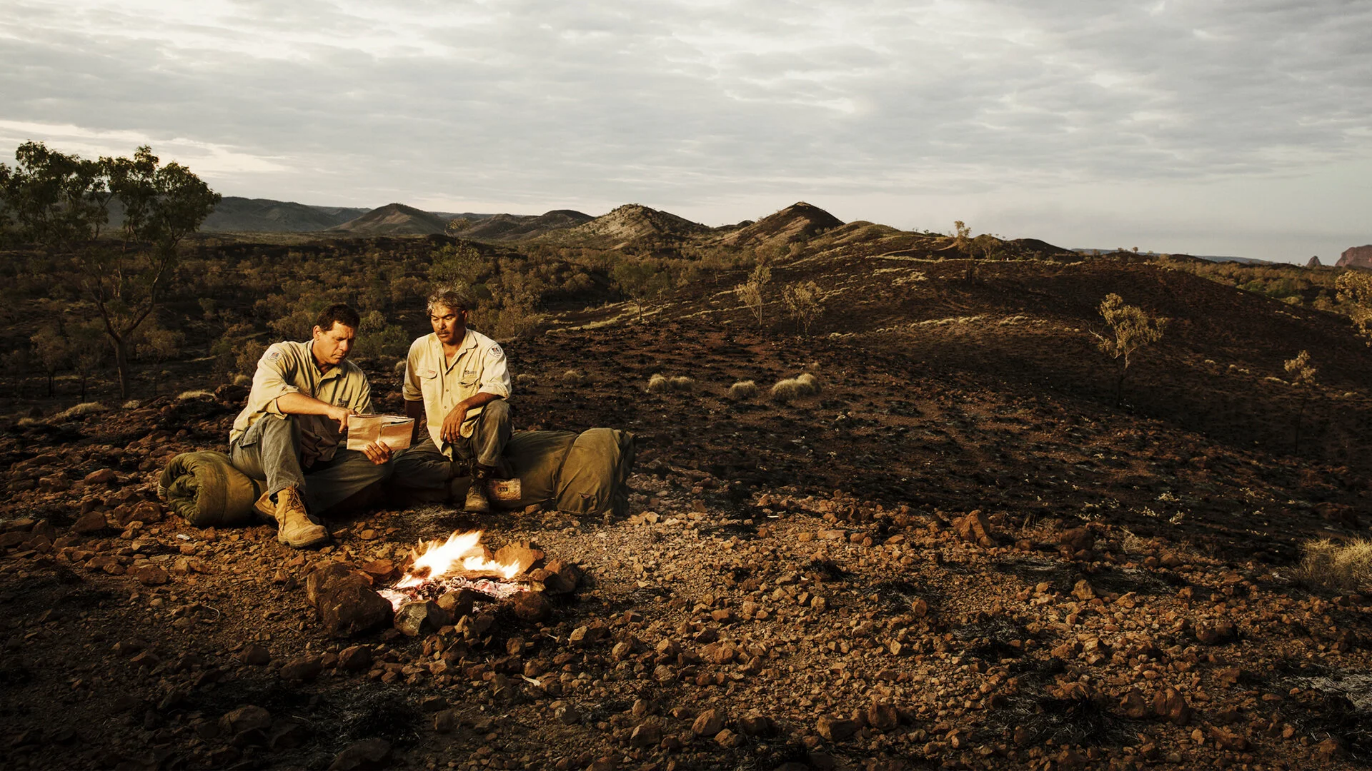 Projects — Northern Pictures