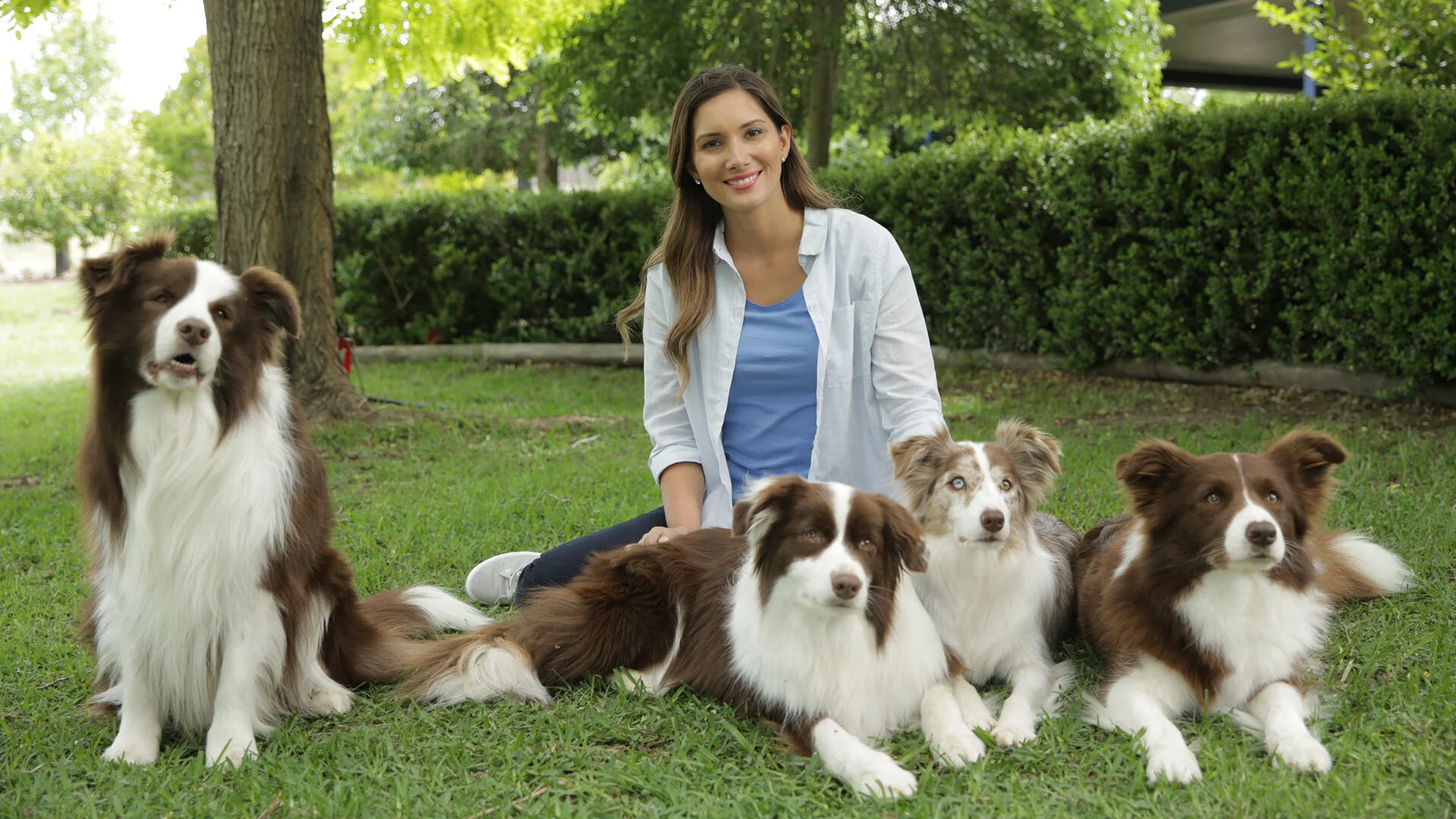 Projects — Northern Pictures