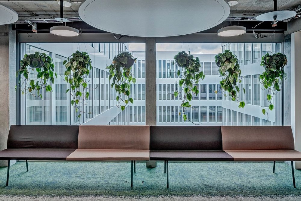 MICROSOFT HAUPTSITZ SCHWEIZ — JOP Architekten GmbH