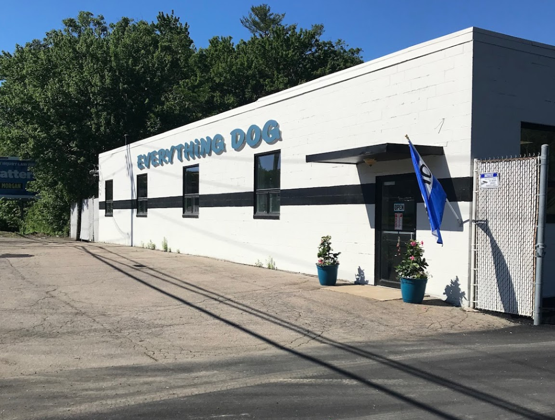 Facility | Everything Dog - Canton, MA