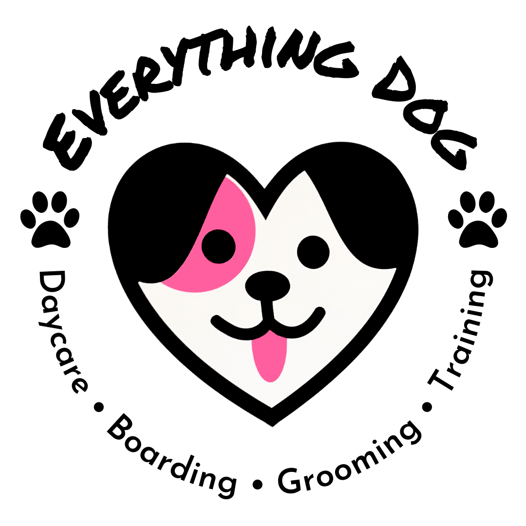 Everything Dog | Dog Daycare, Boarding, Grooming & Training