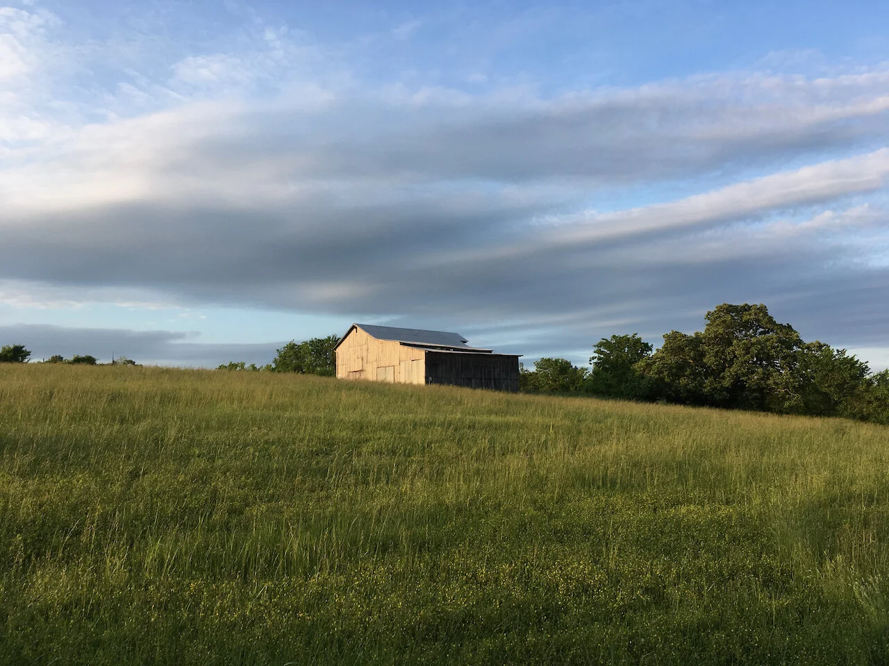Blackburn Family Farm