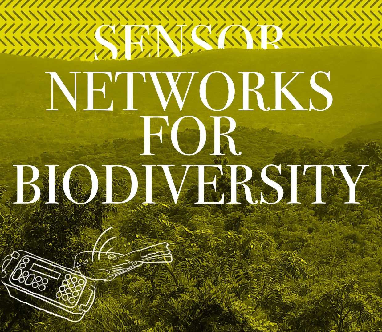 Underhyped Tech - Sensor Networks for Biodiversity — Frontier Tech Hub
