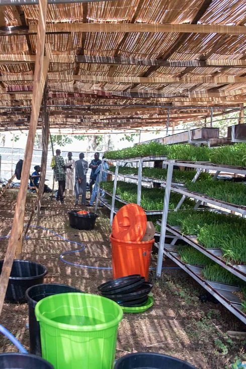 Frontier Tech Hub Newsletter #7 — Frontier Tech Hub