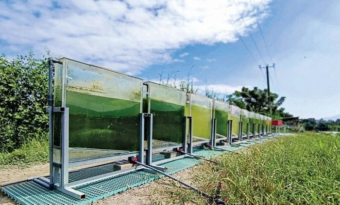 Underhyped Tech - Algal Photobioreactors — Frontier Tech Hub