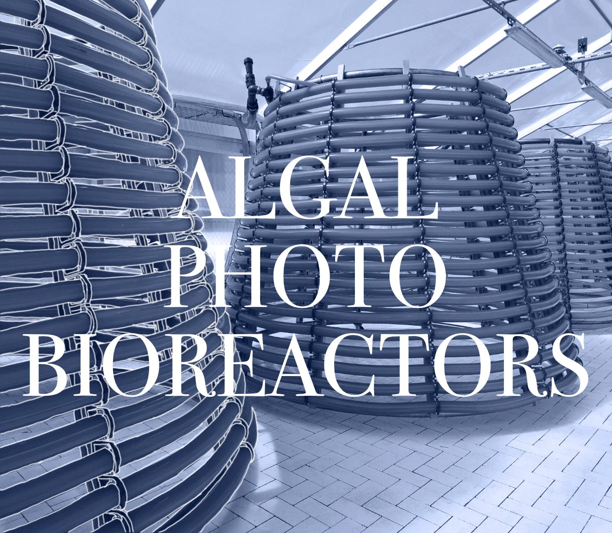 Underhyped Tech - Algal Photobioreactors — Frontier Tech Hub