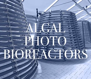 Underhyped Tech - Algal Photobioreactors — Frontier Tech Hub
