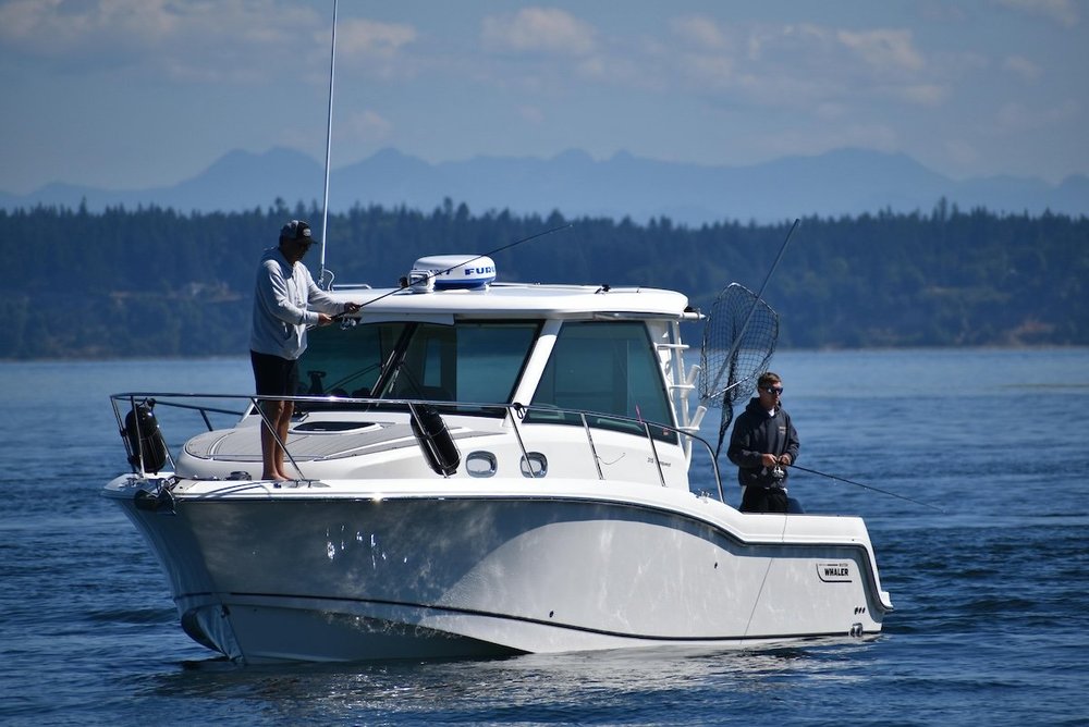 Fishing from a Boat: A Guide for Beginner Anglers — Your Boat Club