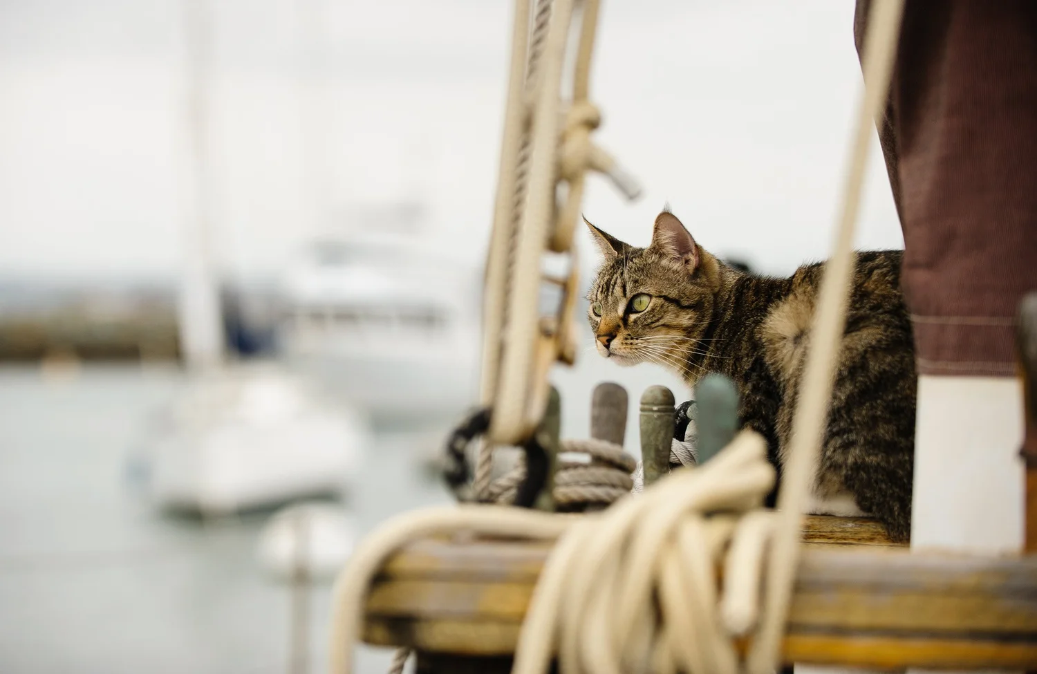9 Boating Superstitions: Maritime Good Luck Charms and Other Myths ...