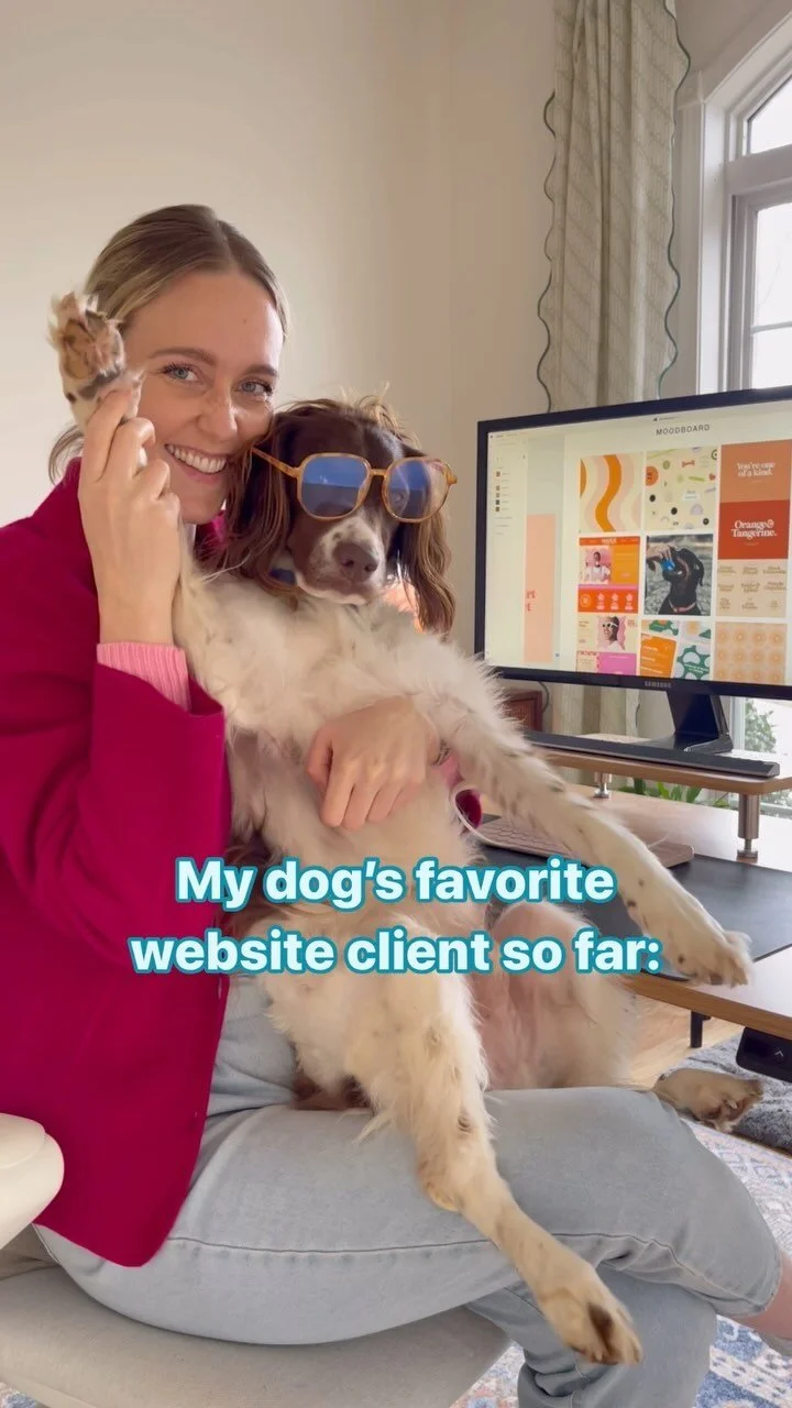 Scribblepie ⁕ Branding, Web Design + Photography in Asheville, NC