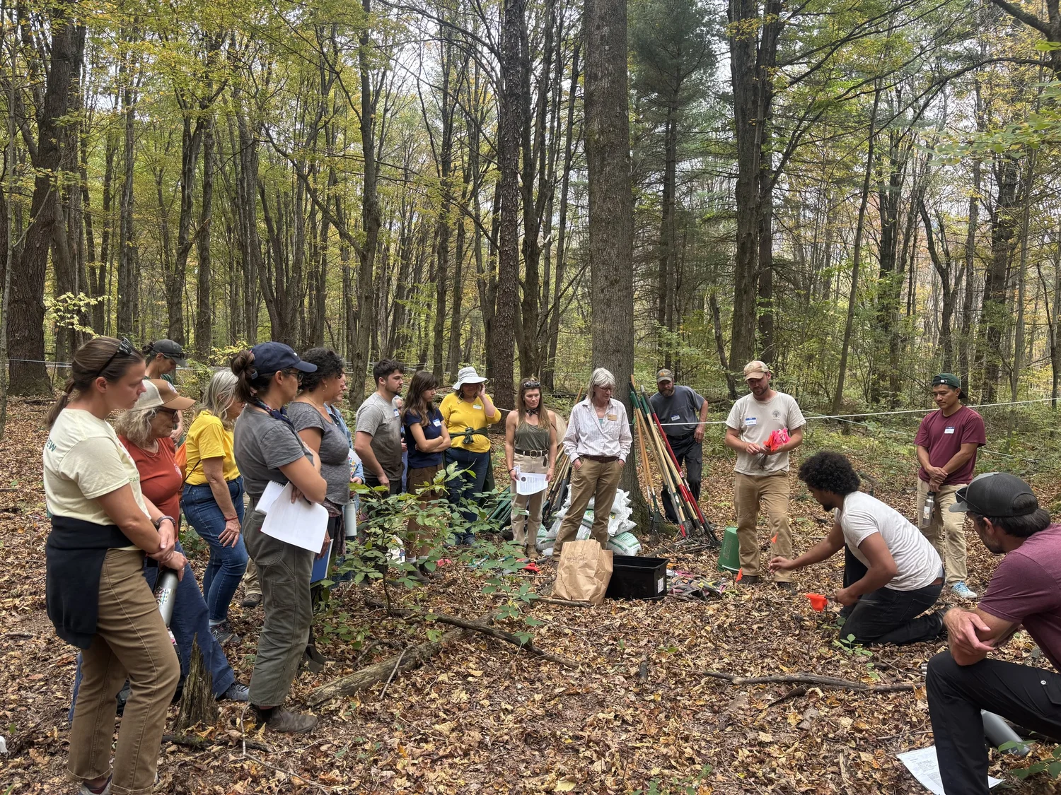 Northeast Forest Farmers Coalition
