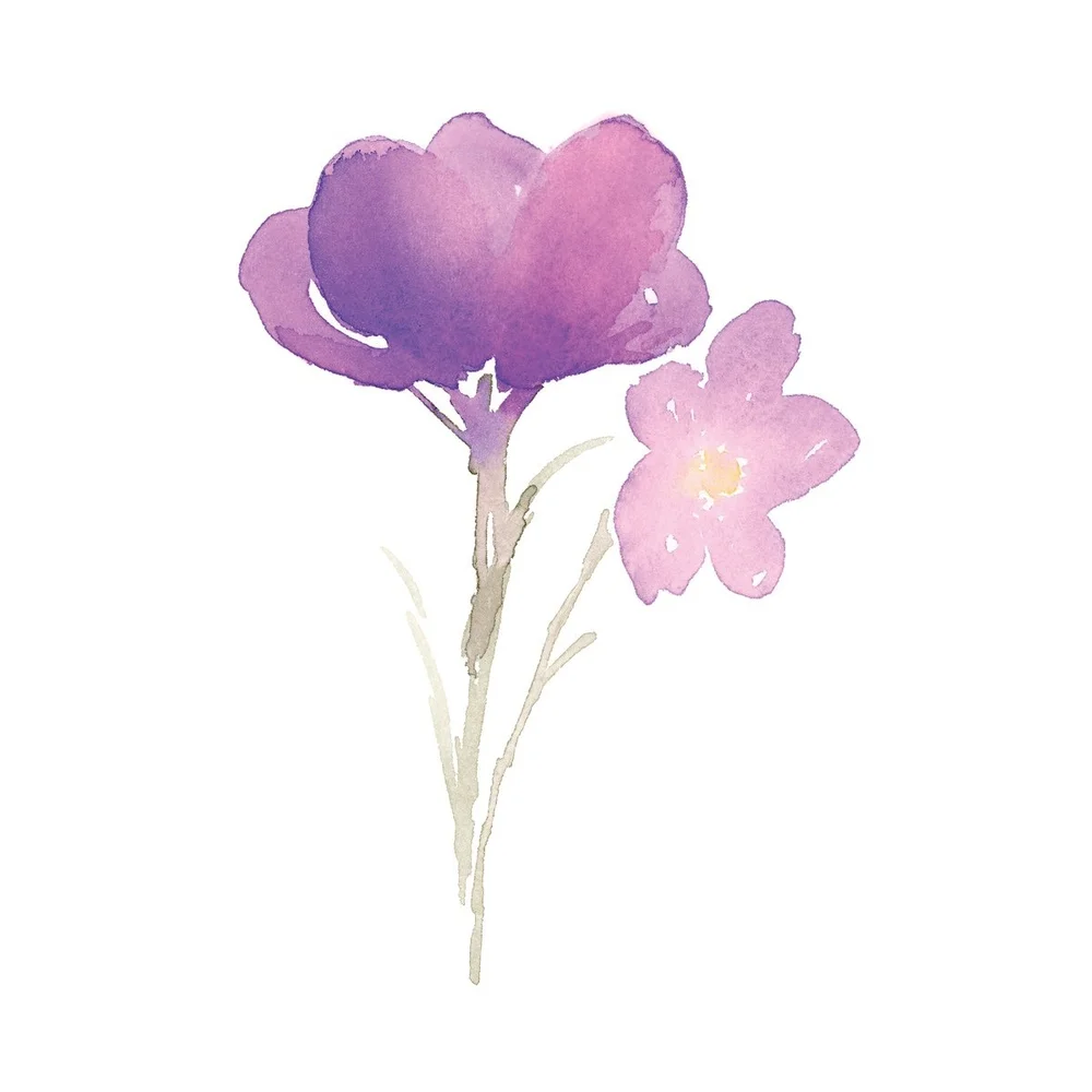 February Birth Flower