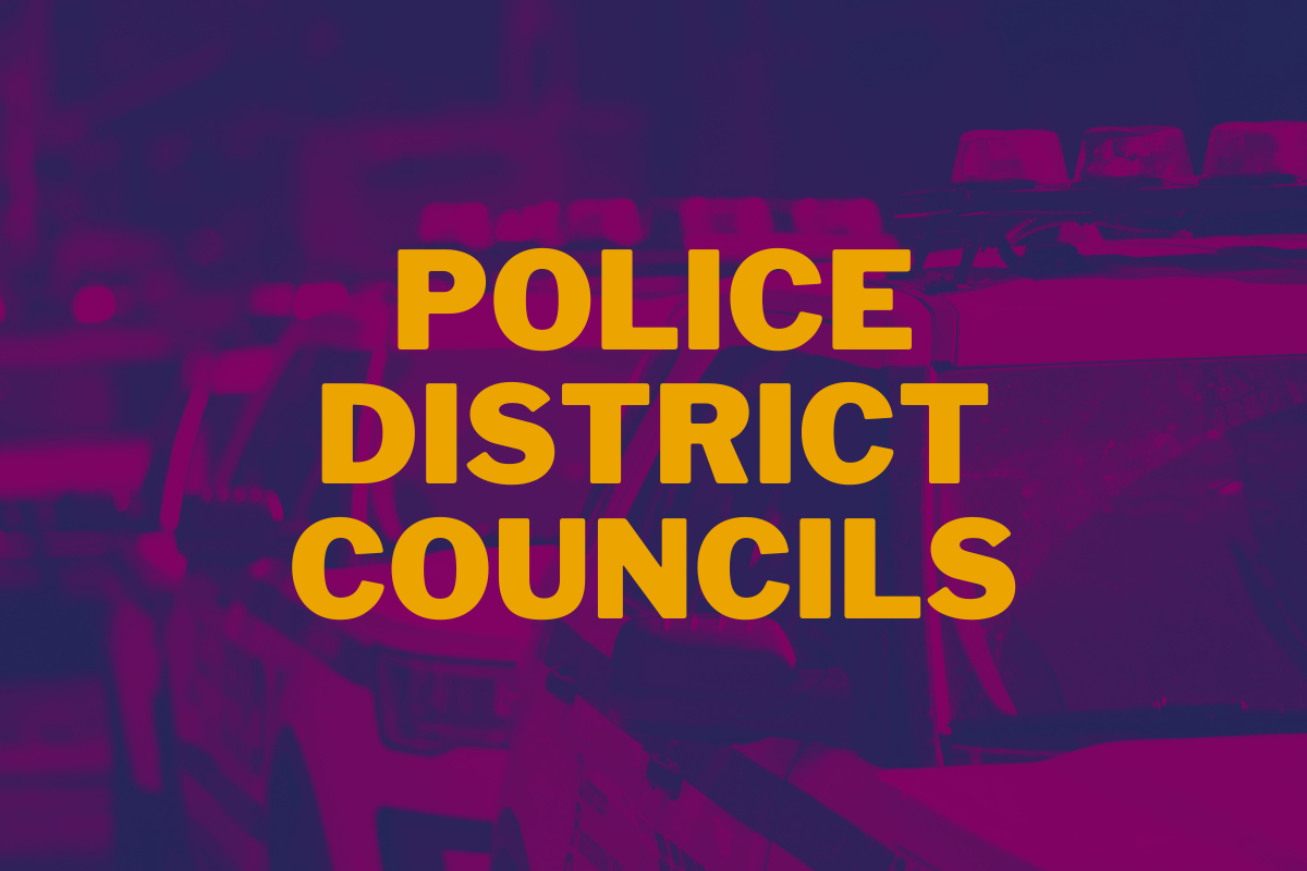 CITY GOVERNMENT — League of Women Voters Chicago