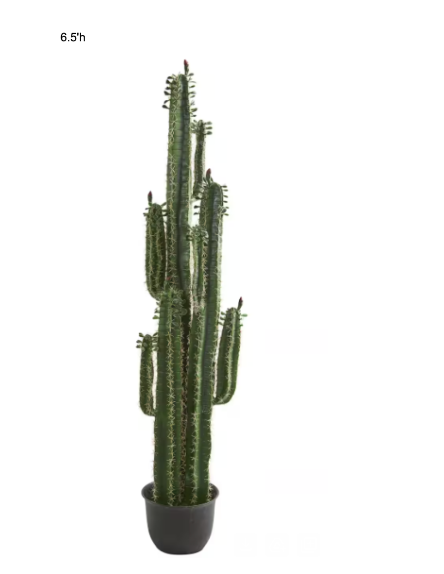 Faux Phoenix Palm Tree Rental | Tropical Event Decor