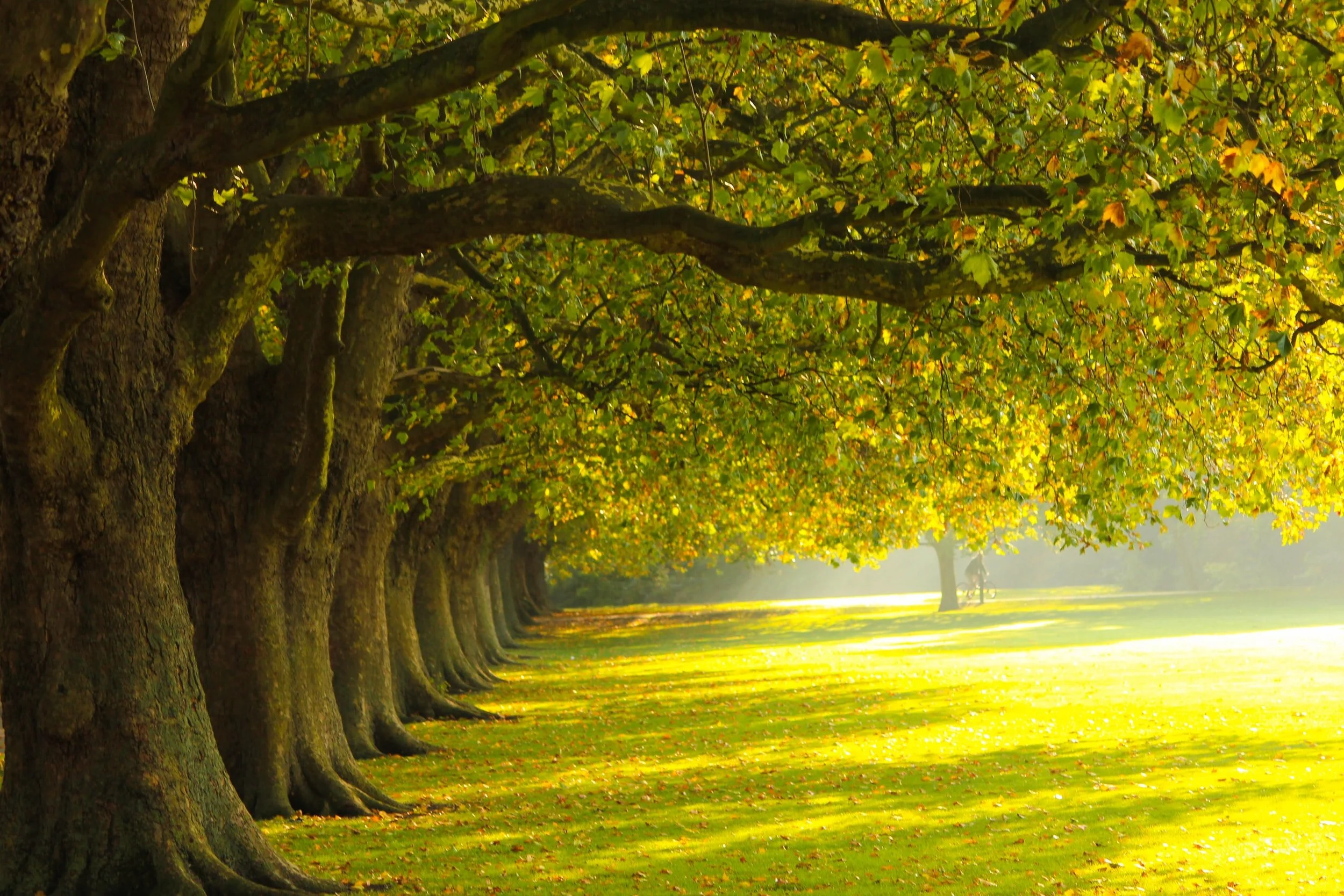 Albion and Beyond | A hub for Brittonic and Brythonic polytheism and ...