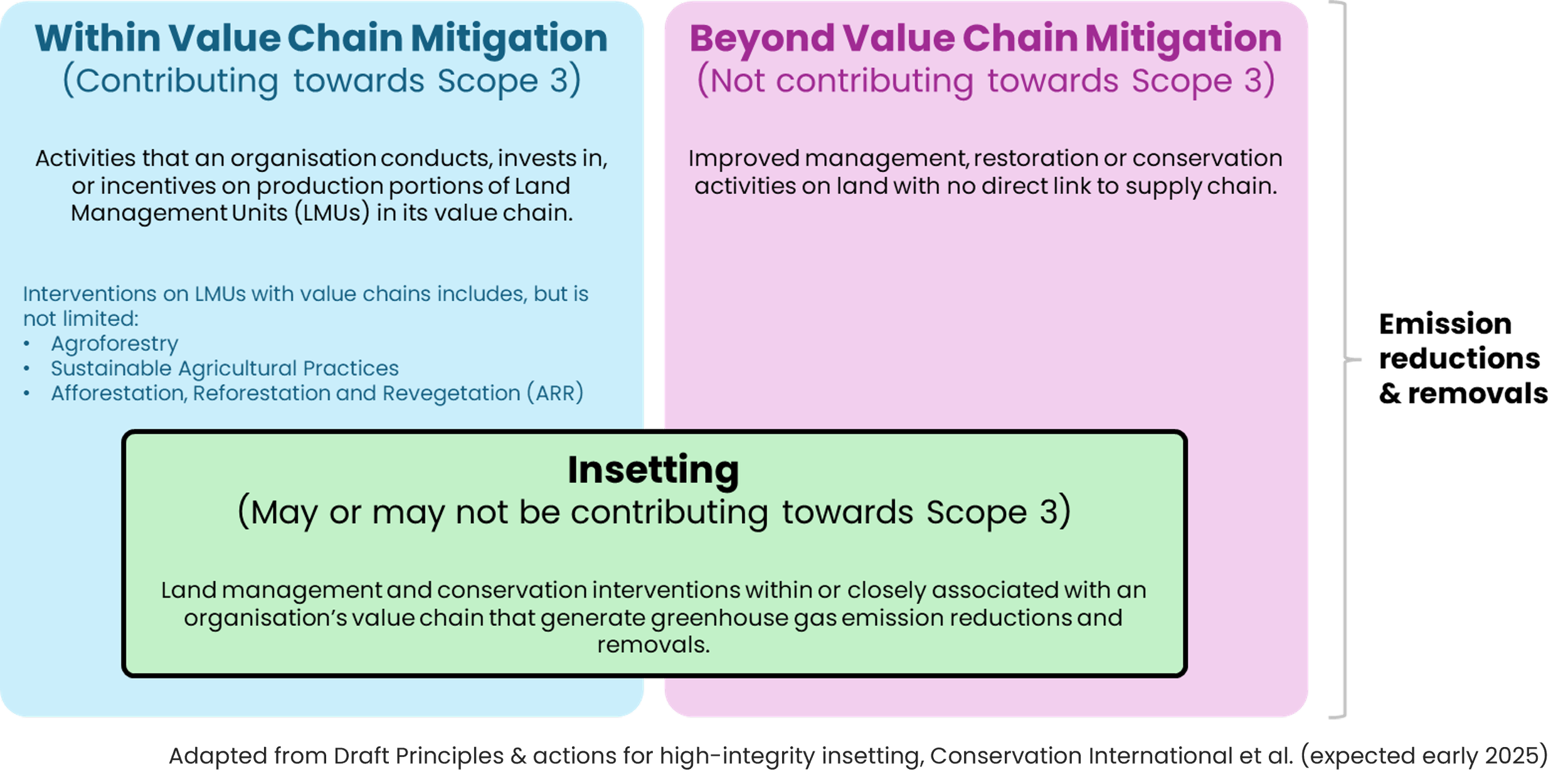 Insetting — Social Carbon