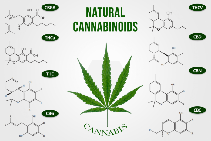 Better Understanding Cannabinoids — Lucid Green