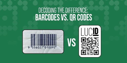 Decoding the Difference: Barcodes vs. QR Codes — Lucid Green