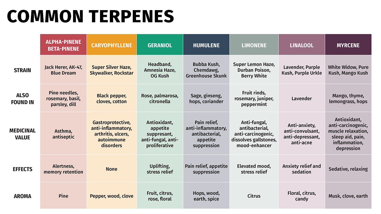 Better Understanding Terpenes — Lucid Green