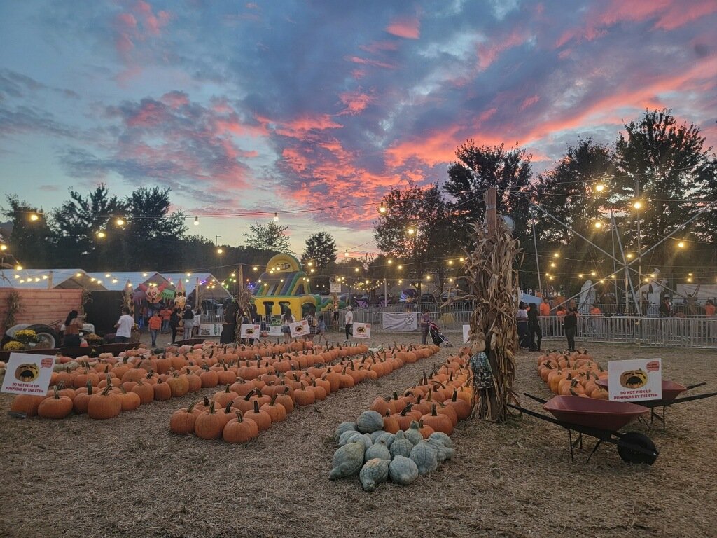 Gallery — Randy's Pumpkin Patch