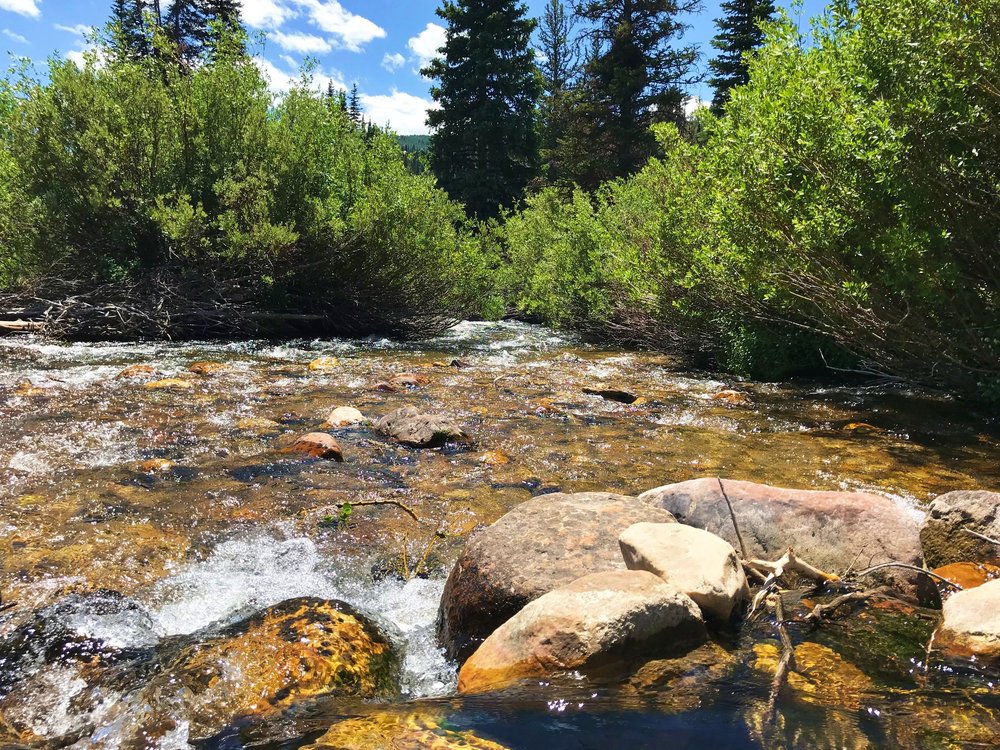 Team 1 — The Rivers Lab