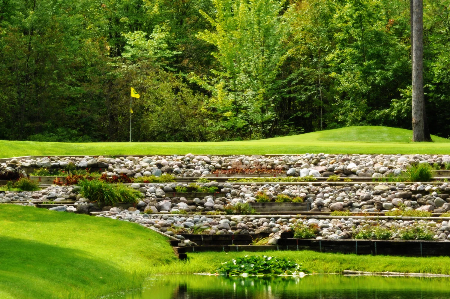 Thunder Bay Golf and Elk Tour — MI Golf Journal