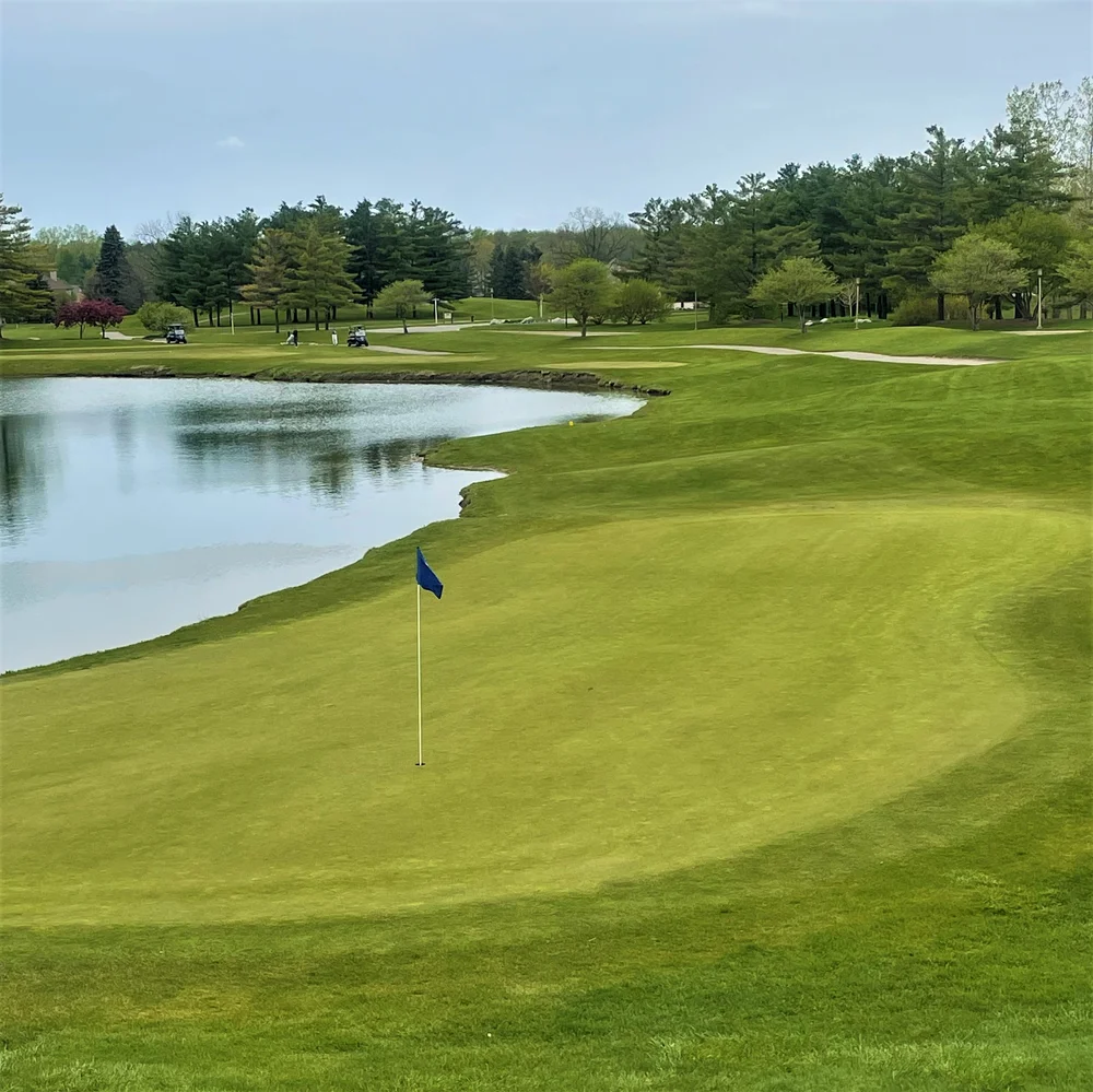 Blog 1 — MI Golf Journal