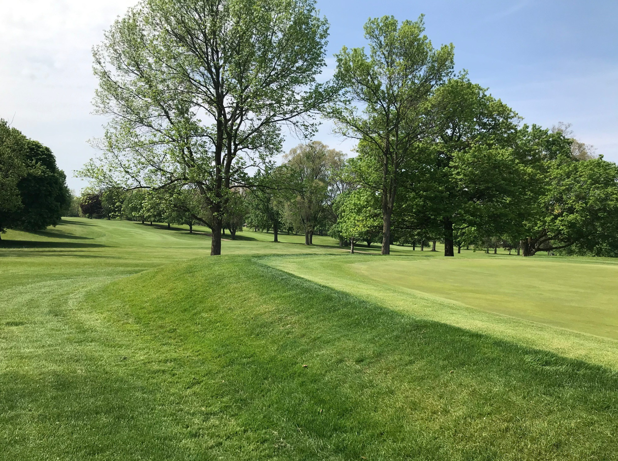 Historic Greens – What do with them? — MI Golf Journal