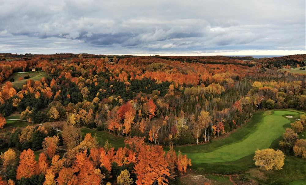 Blog 1 — MI Golf Journal