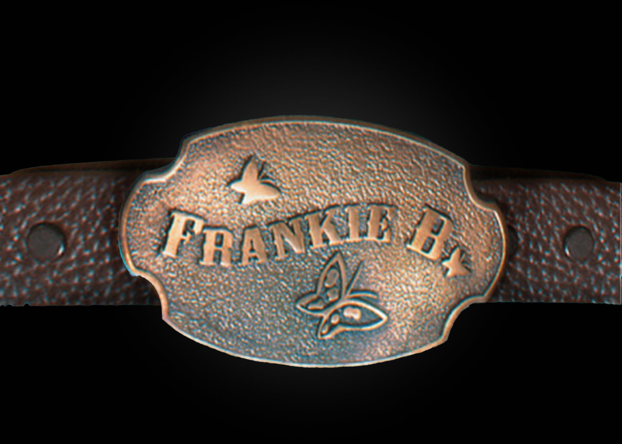 Frankie B Belt Buckle — STEEL THREADS
