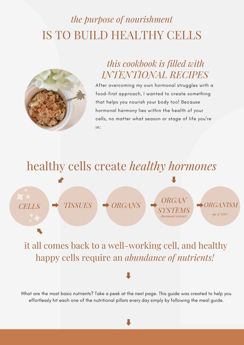 Well Recipe Guide — Cambria Joy