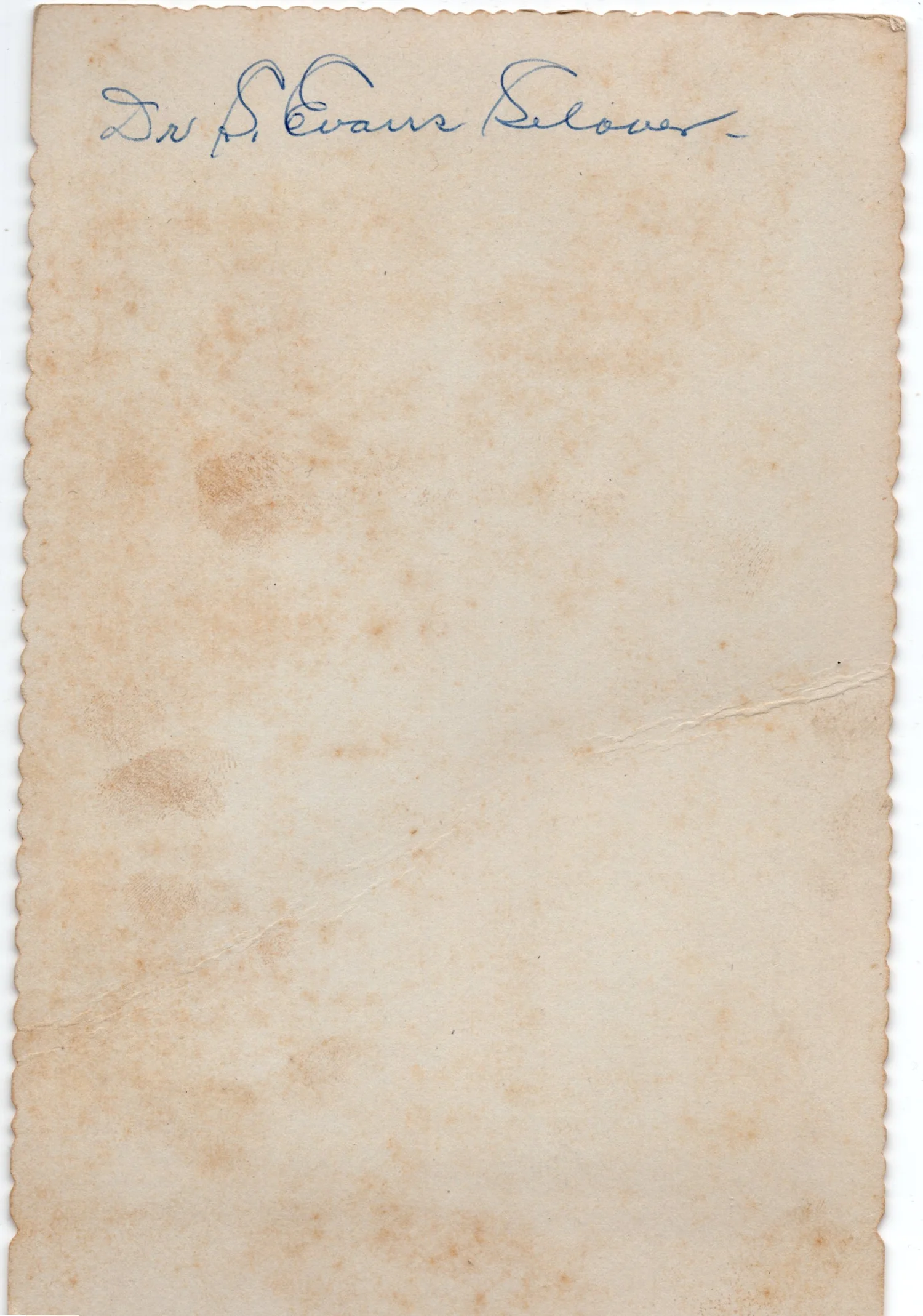 The Chosen Families Project #24: Renowned Female Physician and ...