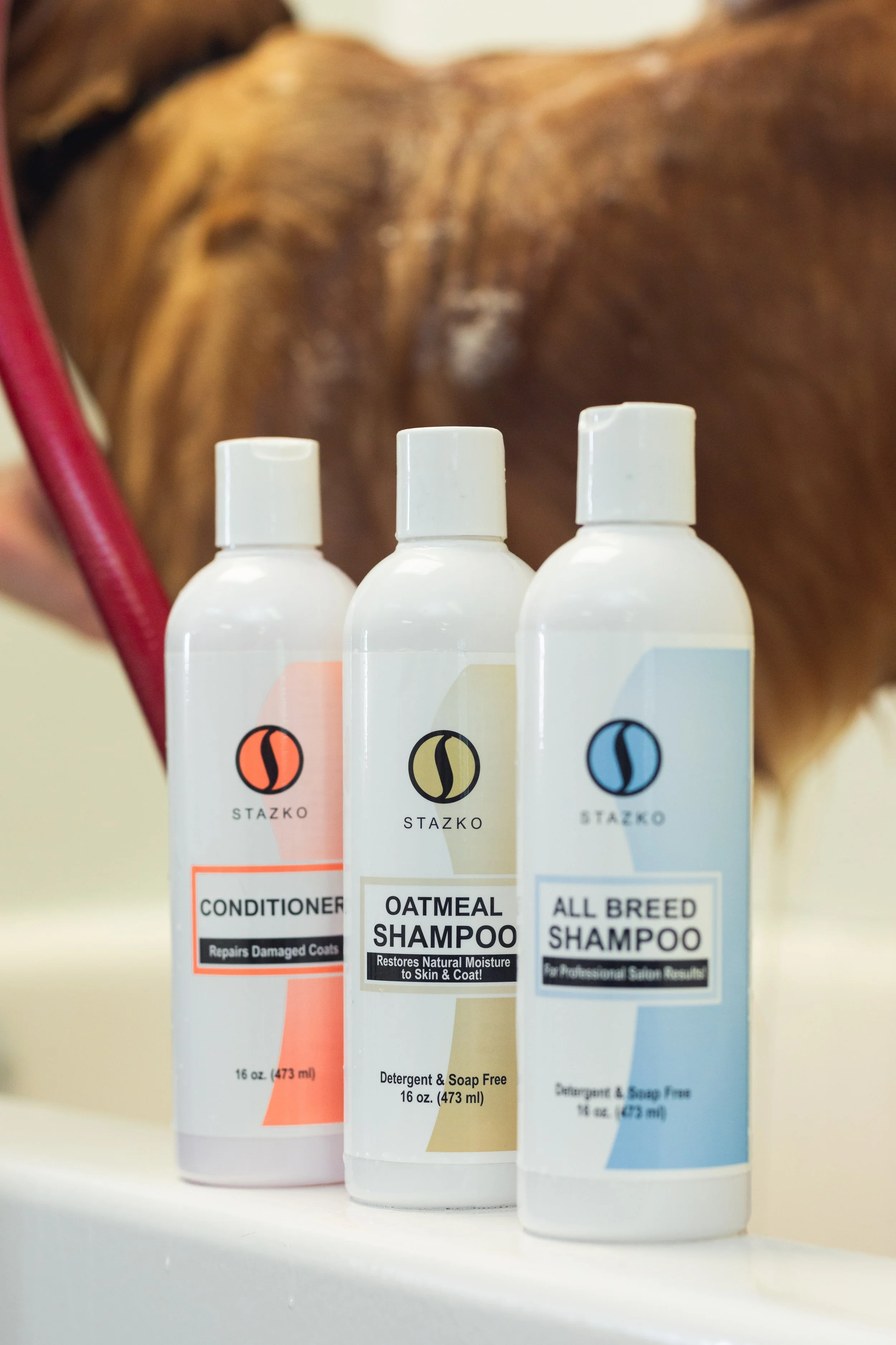 Why Choose Us? — Pet Styles by Jennifer